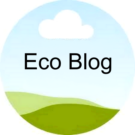 Eco Blog : Going green to be clean – St Catherine's